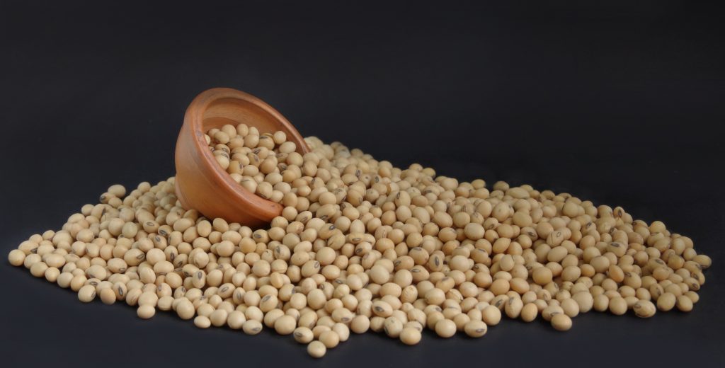 La Soya, un alimento versátil y muy nutritivo – Aliños La Granja Paisa